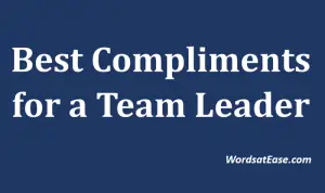 120 Best Compliments for a Team Leader - Words at Ease